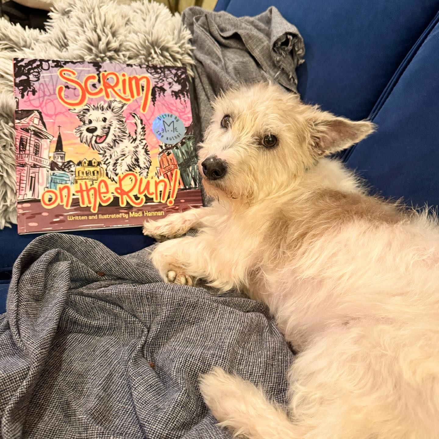 Scrim on the Run Book – Fleurty Girl